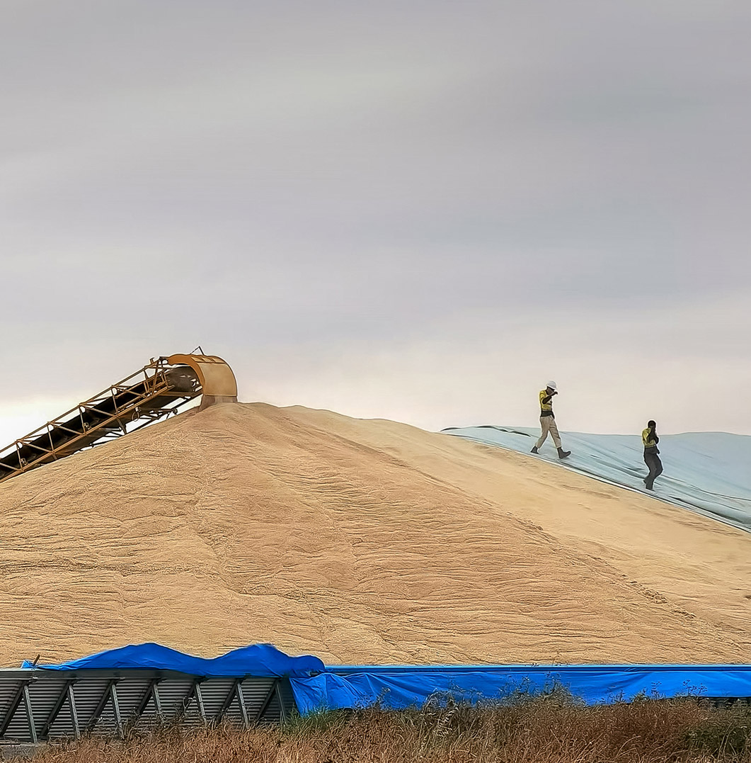 Grains Australia establishes new Grains Market Access Council - Grains ...