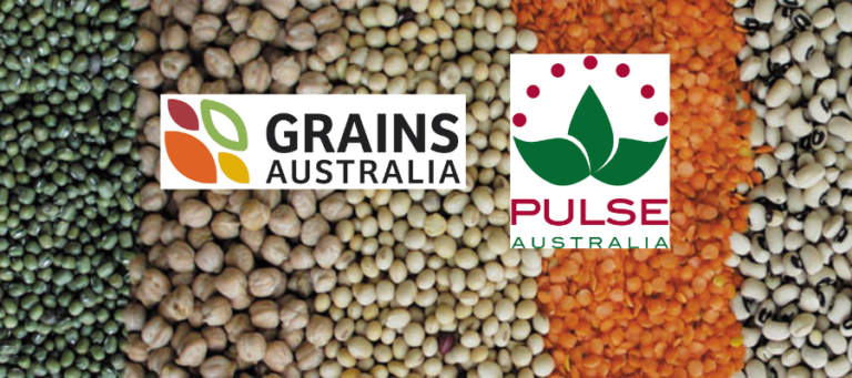 Pulse Australia operations merged into Grains Australia - Grains Australia