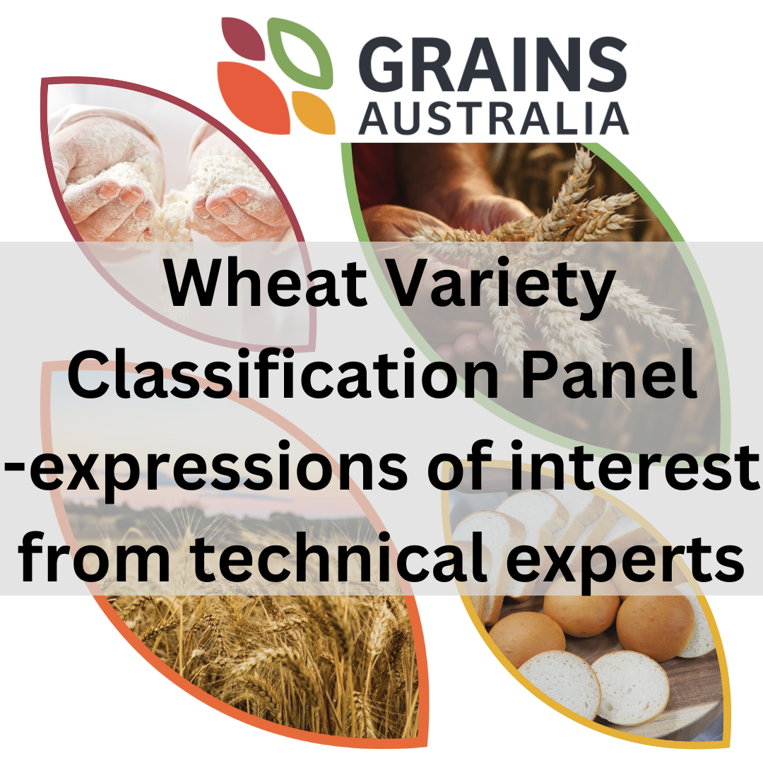 Classification Technical Committee – Current Opportunities - Grains Australia