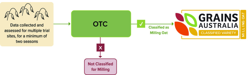 Oat Classification Process - Grains Australia