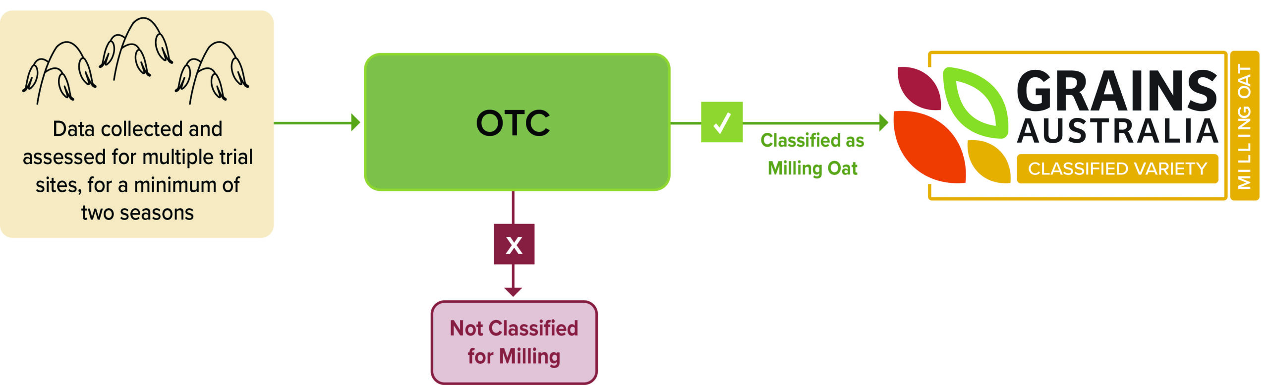 Oat Classification Process - Grains Australia