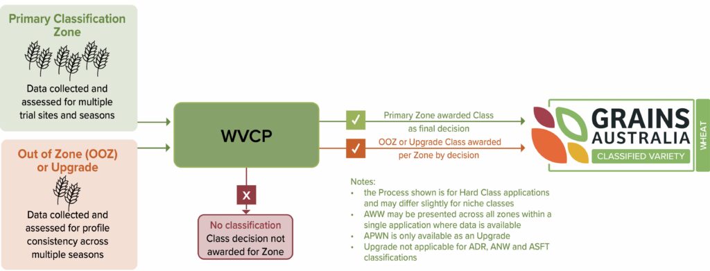 Wheat Classification Process - Grains Australia
