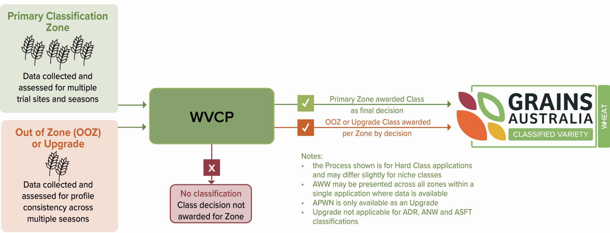Wheat Classification Process Grains Australia