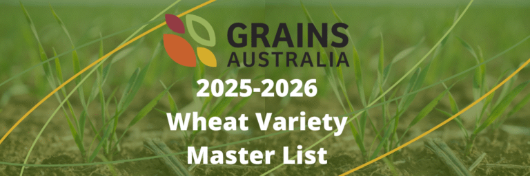 24 new varieties of wheat introduced for 2025-2026 - Grains Australia